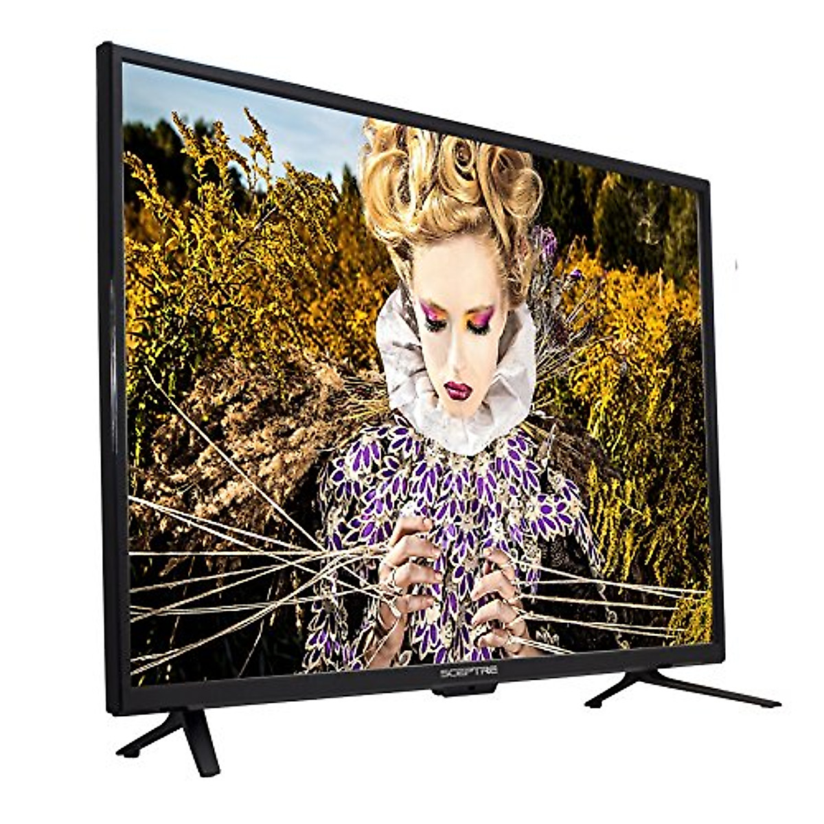 Sceptre U550CV-UMR 55-Inch 4K Ultra HD MEMC 120 LED UTV 3840 x 2160 - Black
