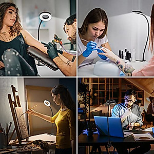 iZELL Desk Lamp, [3 Color Modes & 10 Brightness] LED Reading Light with Clamp, Flexible Gooseneck Book Light for Kids Reading Book in Bed at Night Clip on Table, Headboard, Dorm, Zoom Meetings