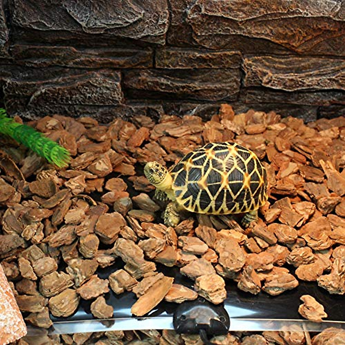 2 Pack 14 W Reptile Heating Pad Under Tank Heater Tank Warmer with Temperature Control, Power Adjustment Terrarium Heater Heat Mat for Reptiles Turtle Tortoise Snakes Lizard