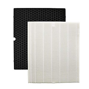 Colorfullife 116130 Replacement Filter H for Winix 5500-2 Air Purifier, HEPA Filter and Activated Carbon Filter Combo Pack, Replacement Part 116130