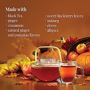 The Republic of Tea – Limited-Edition Fall Pumpkin Teas - Pumpkin Spice and Golden Pumpkin Tea Bundle – 50 and 36 Count Tea Bags