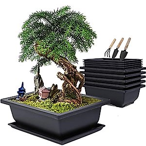 MissFox Bonsai Bowl with Saucer, Potted Plants Plant Pot for Garden, Bonsai Training Pots Made of Plastic, 6 Flower Pots Square Large with 6 Trays and 3 Mini Garden Tool Set, 16 x 12 x 6 cm