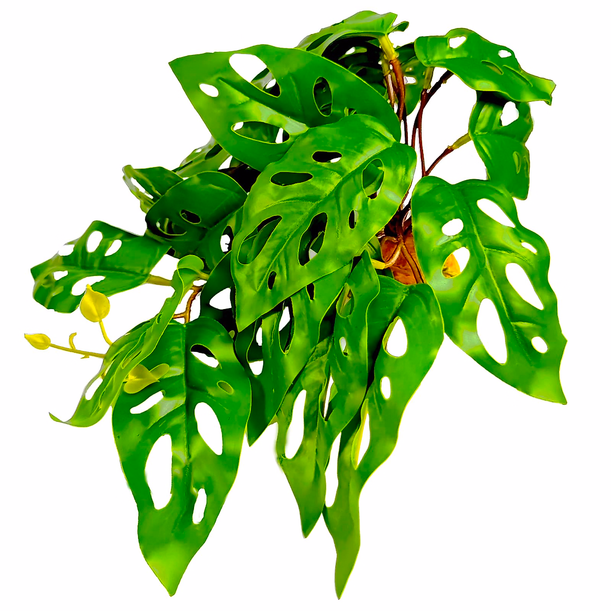 Woyrise Reptile Artificial Plants with Base, Terrarium Decor Amphibian Habitat Plant, Bearded Dragon Tank Accessories fit Gecko Lizard Chameleon Snake Frog - Monstera Adansonni