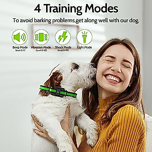 DogStop Dog Training Collar Electric Dog Shock Collar with 4 Training Modes and Waterproof Rechargeable Remote Range 3300Ft for Large Medium Small Dogs (Green)