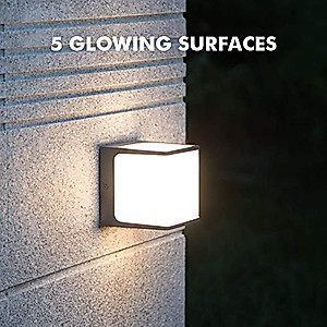 LUTEC 2 Packs TELIN LED Sconces Wall Lighting Indoor Outdoor Wall Light 14.5W Warm White 3000K 1000Lumen with Opal PC Diffuser for Porch, Garage, Garden, Entryway