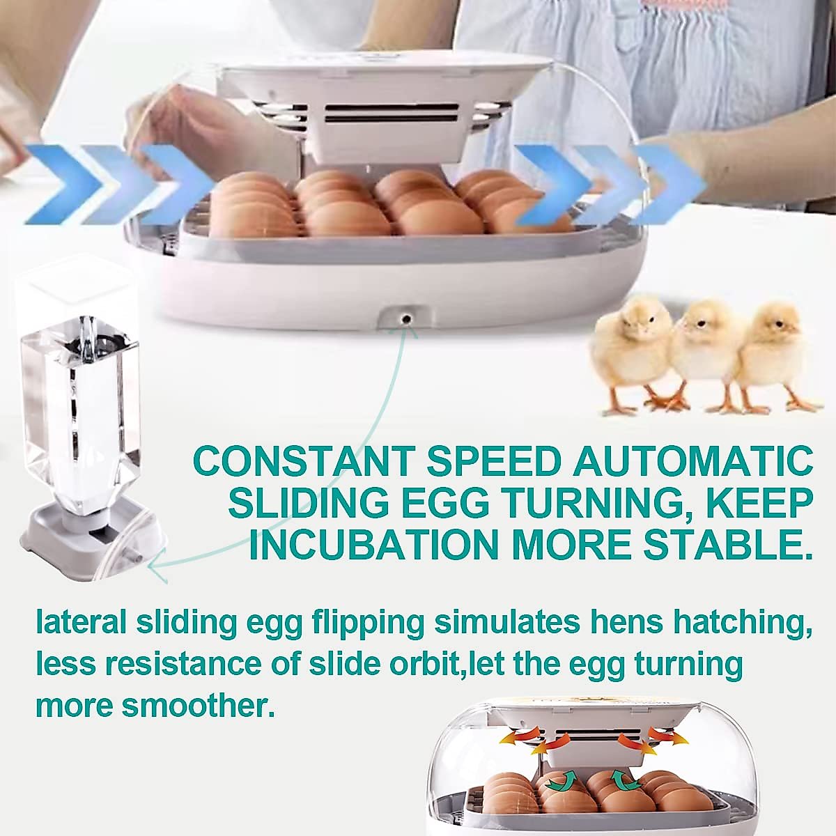 Lreerge Egg Incubator, 12 Eggs Incubator with Automatic Egg Turning, Automatic Water Adding, 360 Degree View, for Hatching Chicken Goose Quail Duck