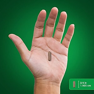 Piping Rock Ginkgo Biloba Supplements 120mg | 100 Capsules | Standardized Extract | Non-GMO, Gluten Free