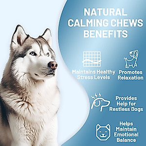 Noble Beast Dog Hemp Calming Chews for Dogs - Melatonin for Dogs - Dog Calming Treats - Motion Sickness for Dogs - All Natural - Soft Chews with Hemp and Melatonin - Chicken Flavor -120 Count