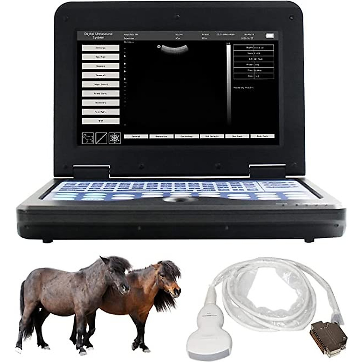 Portable Vet Veterinary B-Ultrasound Scanner，for Pregnancy，with Convex Probe for Horse,Goat,Cow,Sheep and Pig, CMS600P2 Vet CONTEC(Convex Probe)