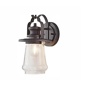 Home Decorators Collection 1-Light Bronze and Antique Brass Outdoor Wall Lantern