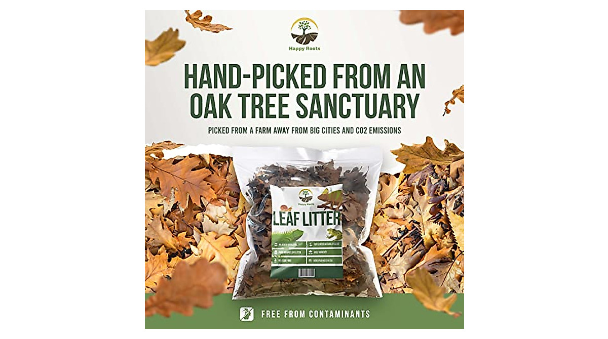 Organic Oak Leaf Litter - 4 Quarts for Terrariums