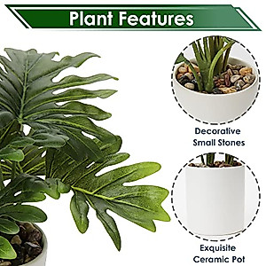 Briful Artificial Monstera Plant 13" Small Fake Plant in Ceramic Pot Potted Faux Plant Indoor for Home Bathroom Living Room Table Office Shelf Desk Decorations