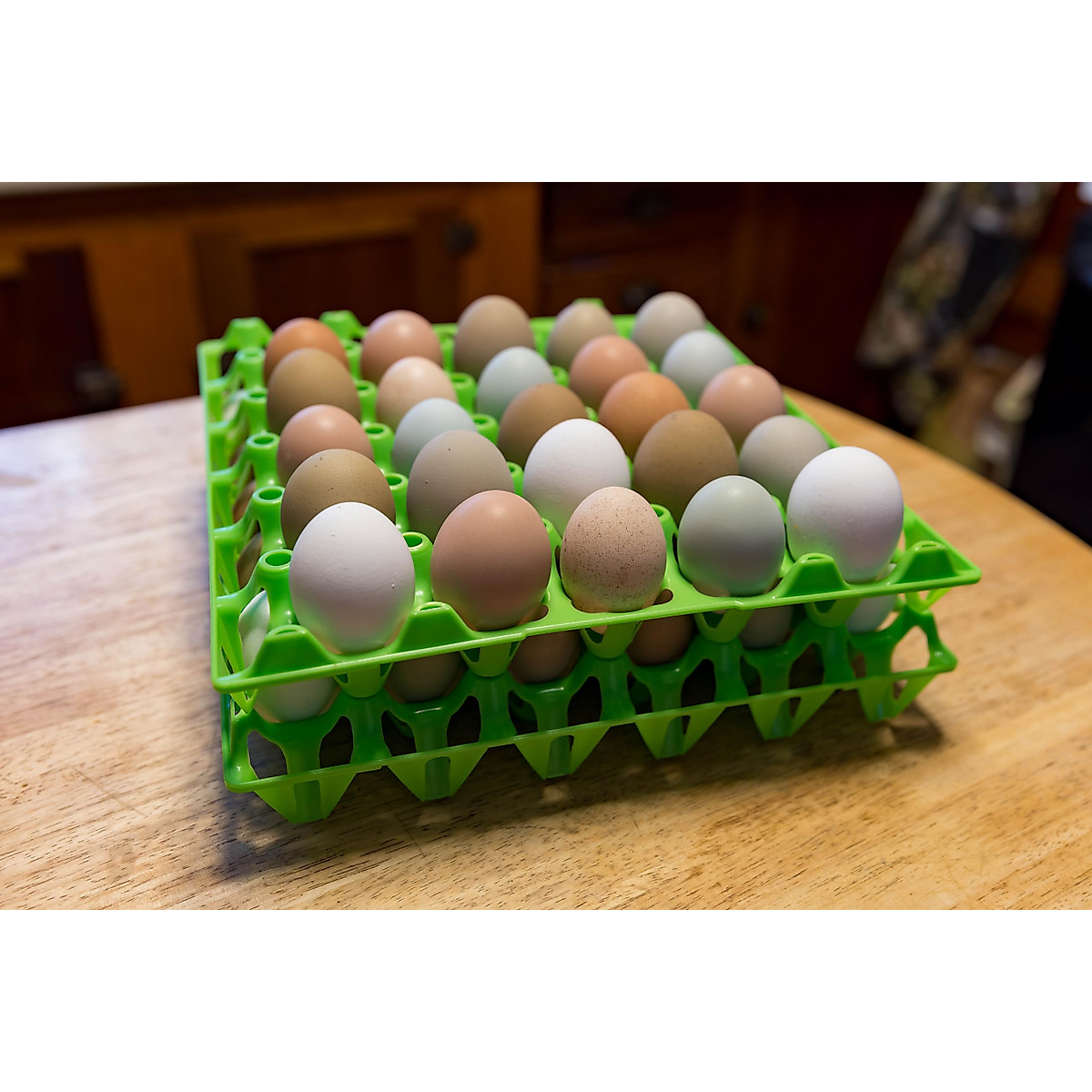 My Favorite Chicken 10 Pack Plastic Egg Flat Carton Tray Holds 30 Eggs Reusable Washable