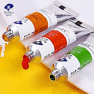 Paul Rubens Watercolor Paint, 24 Vibrant Colors Highly Pigmented, 5ml Each Tube, Perfect for Painters, Artists, Hobbyist, Beginners, Students