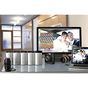 WD 4TB My Book Thunderbolt Duo Desktop RAID External Hard Drive - Thunderbolt - WDBUTV0040JSL-NESN