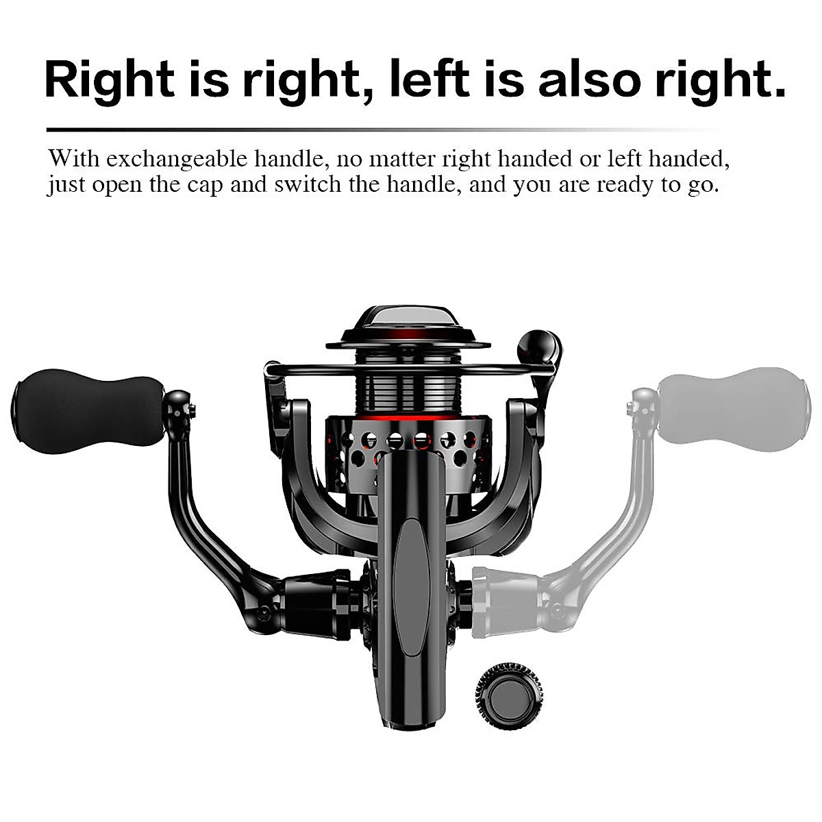 Ashconfish Spinning Reel, Saltwater Spinning Fishing Reels, Freshwater Fishing Reel, Ultra Lightweight Body, 8 Stainless Steel BB, 5.0:1 Gear Ratio, Max 17.6lbs Drag, Come with 109Yards Braided Line