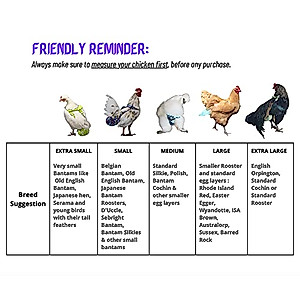 Washable Chicken Diapers for Hens or Roosters - Fashionable Nappy - Pet Chicken Diaper (Creamsicle, Extra Large)