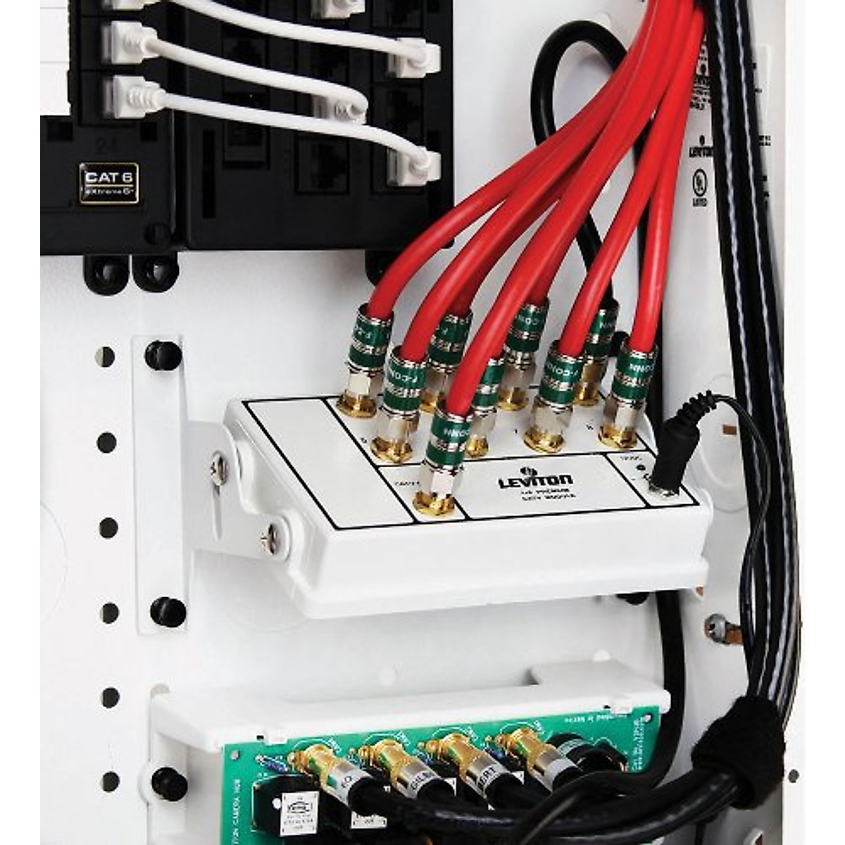 Leviton 47693-8P 1x8 Premium Amplified CATV Module , Gold