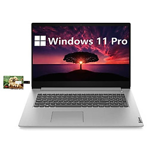 Lenovo IdeaPad 3 Business Laptop, 17.3" HD Display, Intel Core i5-1035G1, Windows 11 Pro, 8GB RAM 256GB SSD, WiFi, Bluetooth,32GB Durlyfish USB Card