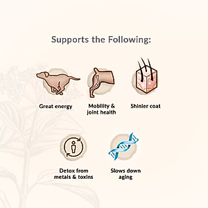 DR. DOBIAS GreenMin for Dogs - All Natural Mineral and Amino-Acid Rich superfood, up to 5 Months Supply