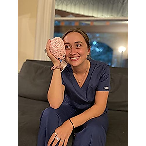 GIANTmicrobes Brain Plush, Brain Toy, Brain Stuffed Animal, Brain Gifts For Neurologist, Brain Surgery Recovery Gifts, Neurology Gifts, Neuroscience Gifts, Brain Injury Gift, Brain Decor, Biology Gift