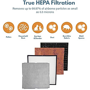 Filter-Monster – Pet Allergen Air Filter Replacement Kit - Replacement Compatible with Rabbit Air MinusA2 Air Purifier