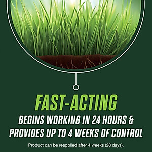 Scotts Turf Builder Healthy Plus Lawn Food, 2-in-1 Fungicide and Fertilizer, Helps Grass Withstand Summer Stress, 4,000 sq. ft., 13.70 lbs.