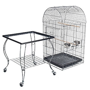 Bird Parrot Cage Cockatiel Amazon African Grey Caique Conure, 20 X 20 X 65"h