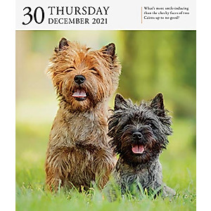 Dog Page-A-Day Gallery Calendar 2021