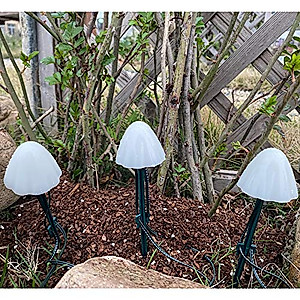 Kagoohan 24 feet 12 LED Outdoor Solar String Mini Mushroom Lights  8 Modes Garden Patio Yard Landscape Party Lawn Pathway Wedding Home Christmas Holidays (Multi-Colored)