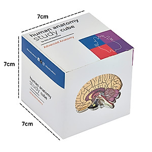 Human Anatomy Study Cube | Study 9 Parts of The Human Body | Perfect Anatomy Revision Guide | Addictive Anatomy Model Cube | Great Gift for Nurse, Dentist, Medical Students