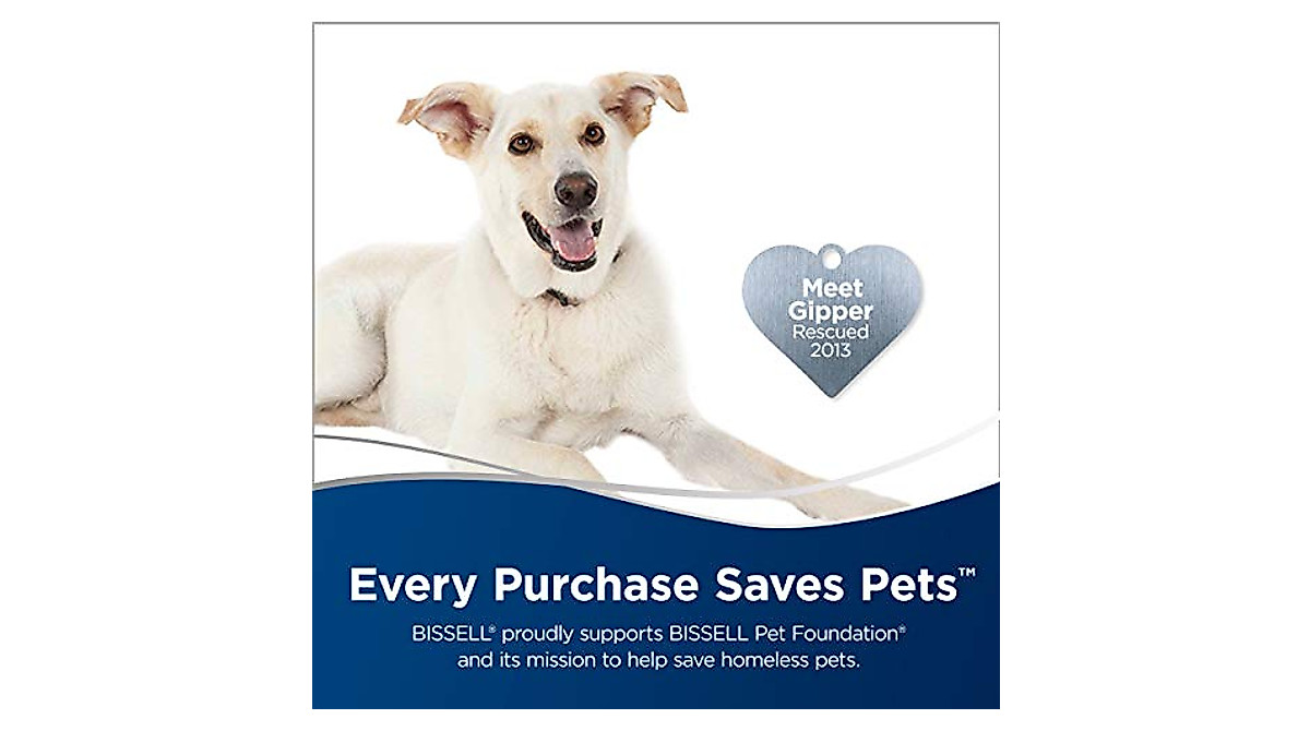 BISSELL 2254 Pet Vacuum: Powerful Suction, Swivel, Rewind