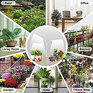 SUWITU Grow Lights for Indoor Plants, 6000K 144 LEDs Clip on Grow Light Plant Growing Lamps for Succulents, Valentines Day Gifts for Plant Lovers, Auto 3/9/12H Timer, 3 Switch Modes,10-Level Dimmable