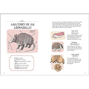 Wildlife Anatomy: The Curious Lives & Features of Wild Animals around the World