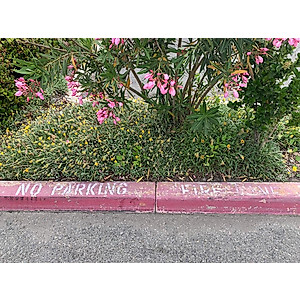 APS 4" FIRE LANE NO PARKING Stencil for Parking Lot | Parking Lot Stencils for Painting | Reusable No Parking Fire Lane Pavement Stencils for Parking Lot Markings | Made in USA w/Recycled Cardboard