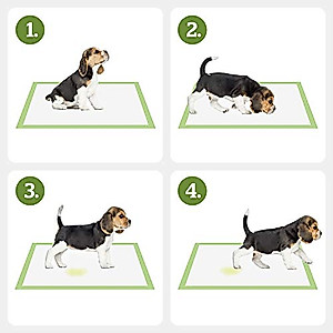 Pogi's Dog Training Pads with Adhesive Sticky Tabs (50-Count) (24x24in) - Large Puppy Pads, Earth-Friendly Dog Pads, Plant-Based Puppy Pee Pads for Dogs - Puppy Supplies for Small to Large Sized Dogs
