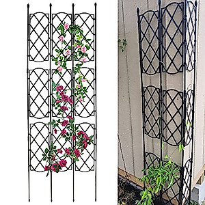 Garden Trellis for Climbing Outdoor Plants 55x18inch Plant Support Structures for Rose Clematis Vine and Climbing Plants
