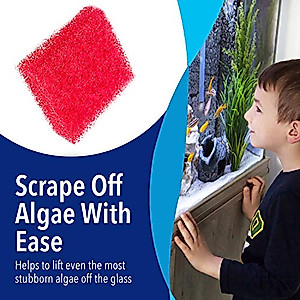 [4 Pack] Aquarium Cleaner for Glass Walls - Aquarium Scrubber - Hand Held Scraper Pad - Made in USA - Fish Tank Cleaning Tools Won't Scratch Glass - Aquarium Sponge for Turtle & Fish Tank