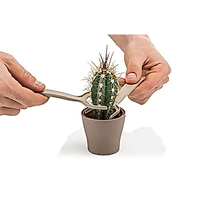 Generic Mini Garden Hand Transplanting Succulent Cacti Cactus Tools Miniature Planting, Set for Fairy Garden, Potting, Houseplant, Bonsai Tools, Bonsai Kit, Shovel, Fork, Green
