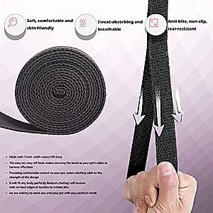 Accessory USA 10ft Black Long Line Training Dog Leash,for Large,Medium and Small Dogs,Long Dog Lead,for Training,Backyard,Camping,or Play,Great for Parks and Fetch (10FT, Black)