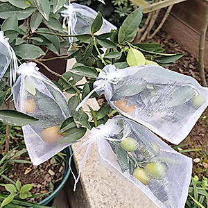 100 Pcs Penetrating Light Fruit Protection Bags- 8x12 Inch Organza Fruit Netting Barrier Bags ,Garden Plant Fruit Mesh Bags with Drawstring