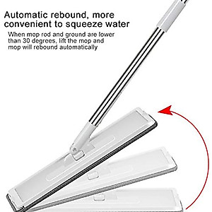 Haowecib Cleaning Mop, Soft Floor Mop Cleaner, Free Hand-Washing for Daily Household Cleaning Floor Cleaning, Defult