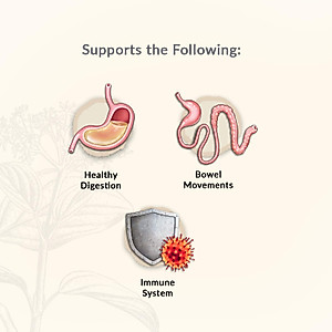 Dr. Dobias - GutSense, Advanced Prebiotic & Probiotics for Dogs, Canine-Specific Dog Probiotics, Dog Supplement for Healthy Digestion, Good Bowel Movement & Immune System, Pet Supplies, 60 Capsules