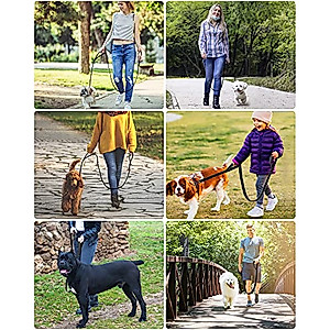 Dog Leash, Heavy Duty Dog Leash, Leashes for Large Breed Dogs 5FT 6FT, Double Handle Dog Leash, Reflective Training Lead, Perfect for Medium to Large Dogs