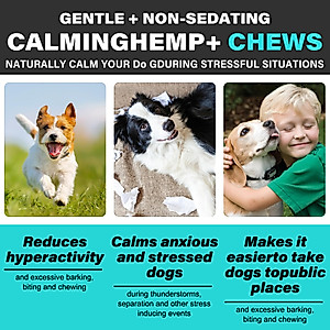Dvoevivh Calming Chews for Dogs, Dog Calming Treats Anxiety Relief Natural Soothing Supplement, Dog Stress & Dog Anxiousness - Helps Aid with Thunder, Fireworks, Chewing & Barking