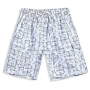 AIchenYW Men's Casual Shorts Drawstring Elastic Waist Printed Beach Short Pants Summer Refreshing Sports Shorts