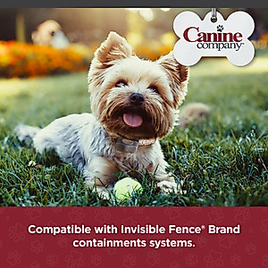 Canine Company Pet Fence Batteries for Invisible Fence Brand Receiver Collars Units – Compatible with Microlite or Microlite Plus Receiver Collars - Single Pack
