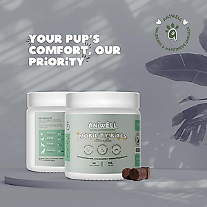 Aniwell Mobility Chews: Powered by Glucosamine MSM & Chondroitin - Hip and Joint Supplement for Dogs to Actively Support Mobility (1)