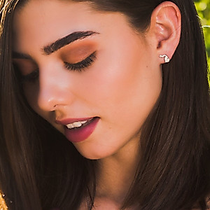 Stone Armory Michigan Map Earrings - Stainless Steel Michigan Jewelry - Hypoallergenic Earrings for Sensitive Ears - State of Michigan Gifts for Women