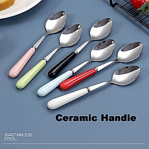 Goeielewe Set of 6 Grapefruit Spoons with Round Serrated Edges, Stainless Steel Serrated Spoon with Multicolor Ceramic Handle, Kiwi Apple Citrus Fruit, Dessert Spoon Sets (Silver)